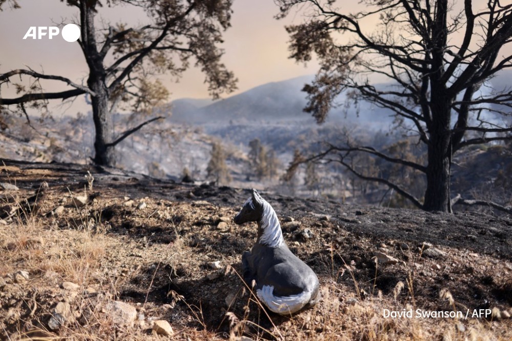 Topshots of the Week (7-13 September, 2024) | AFP.com